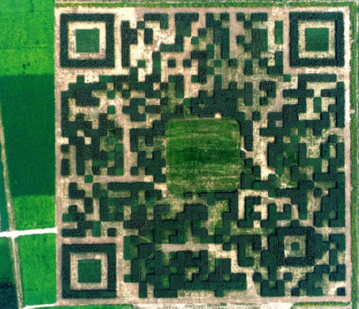 중국 마을, 관광 캠페인을 위한 거대한 QR 코드 구축